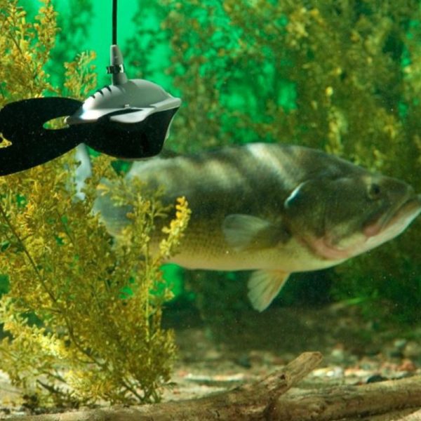 MarCum® QHD Underwater Quest HD System - Clancy Outdoors